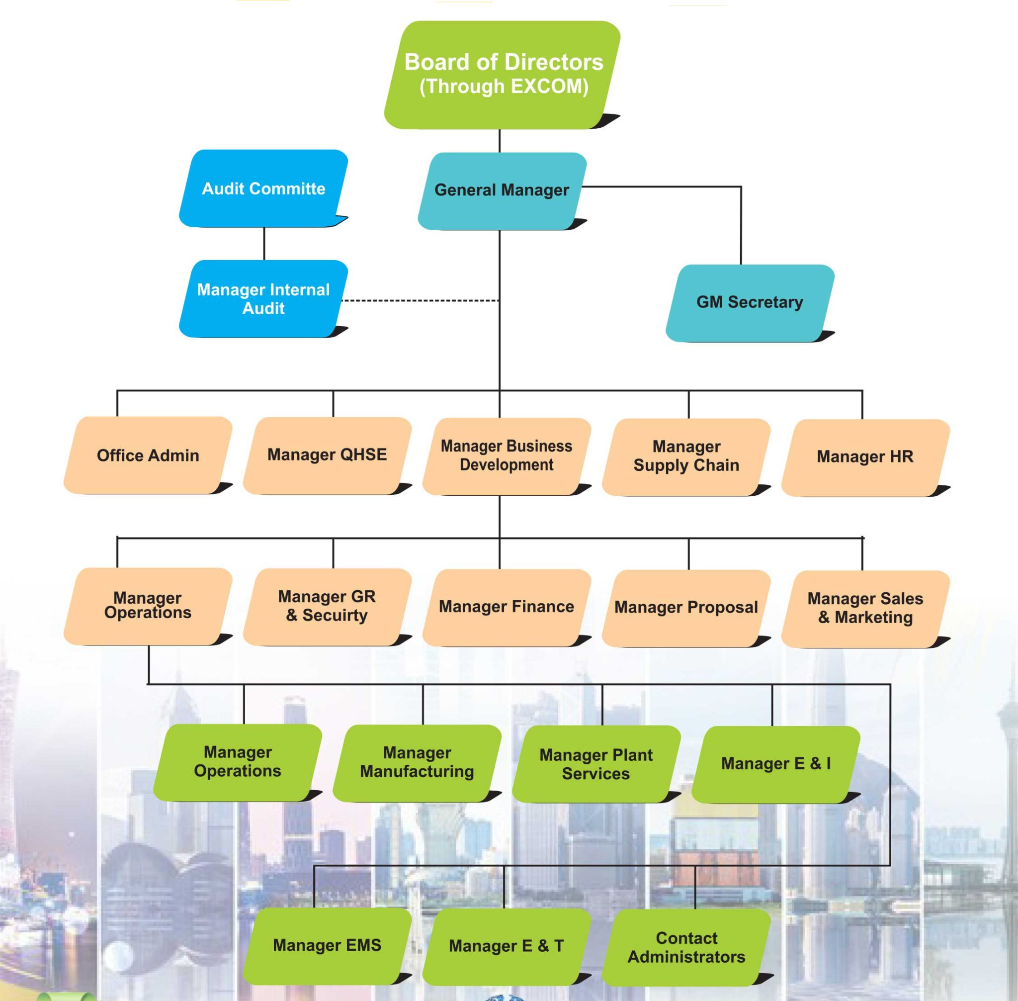 Organizational Chart – HSM Industrial